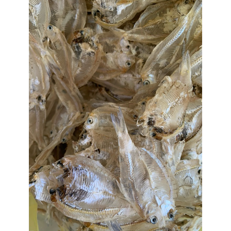 Jual Pakang Tawar/Kalapan Belah utuh dengan kepala 100 gram | Shopee ...