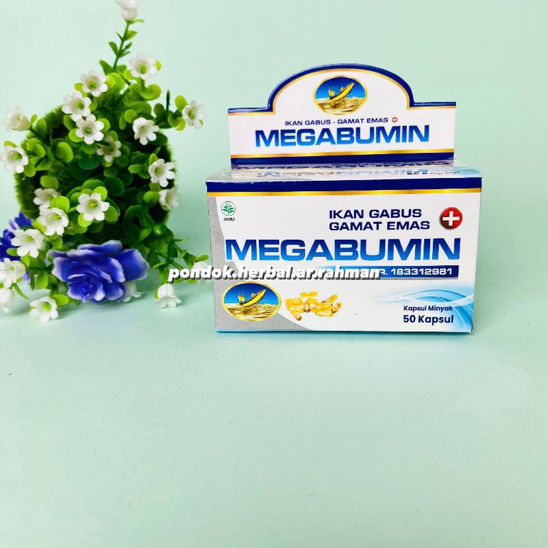 Jual KAPSUL MEGABUMIN (ekstrak ikan gabus) | Shopee Indonesia