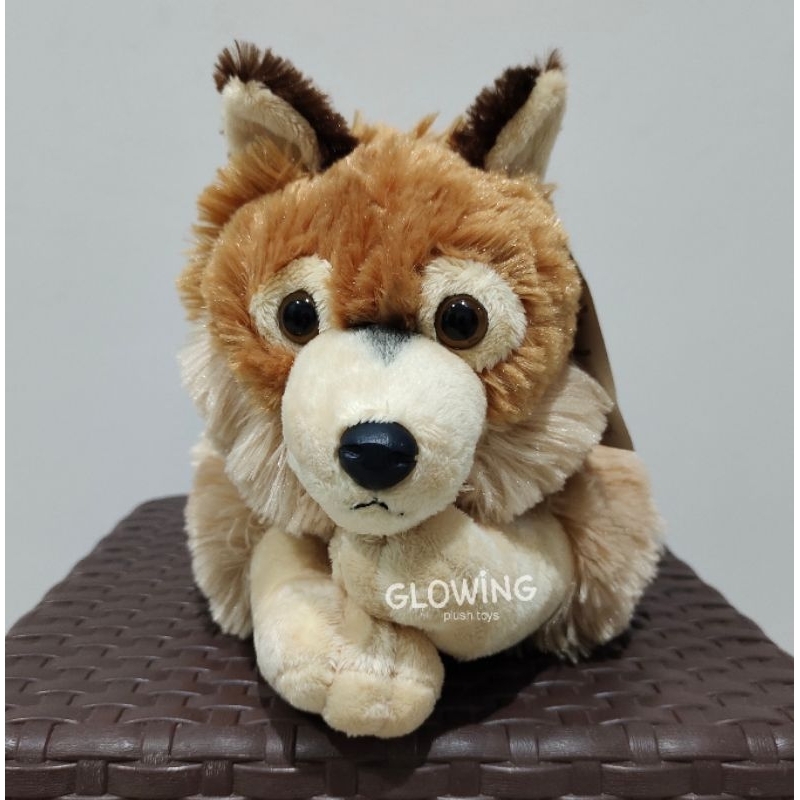 Jual Boneka Wolf Serigala | Shopee Indonesia