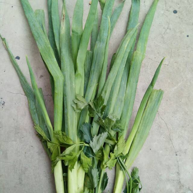 Jual Daun Seledri | Daun Sop Bawang Prei | Campur 100gr | Shopee Indonesia