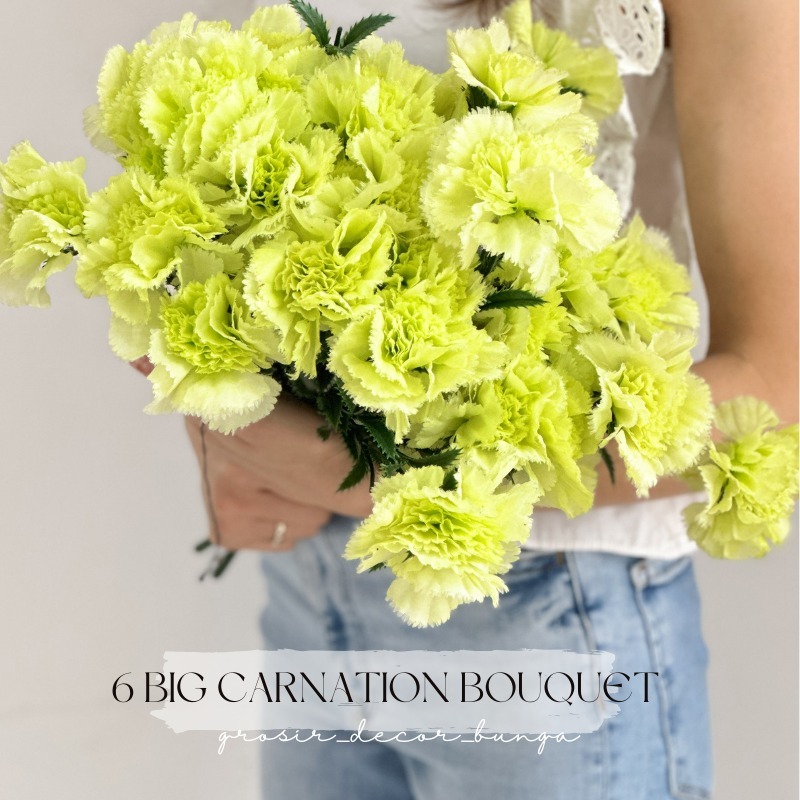 Jual (QC)BIG CARNATION BOUQUET X6 ARTIFICIAL FLOWER BUNGA PALSU BUNGA ...