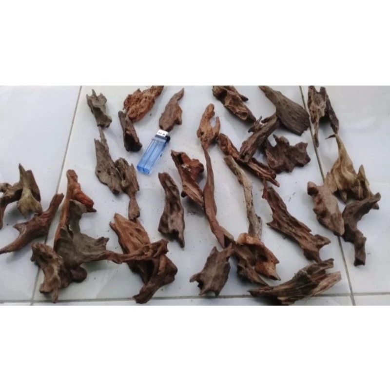 Jual kayu rentek super mini ( kayu rentek kusus ditailing hadscape ...