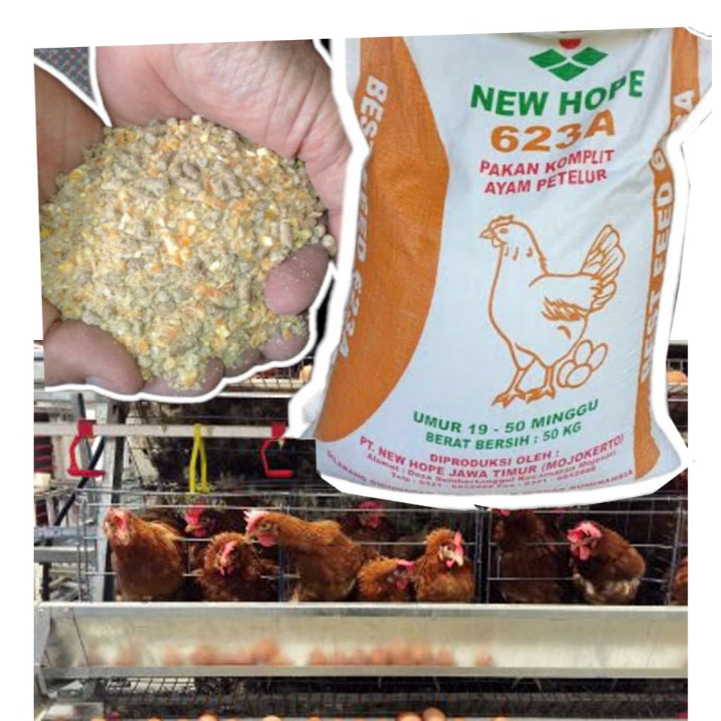 Jual Pakan Ayam Petelur 623 | Pur ayam Petelur Dewasa | Shopee Indonesia