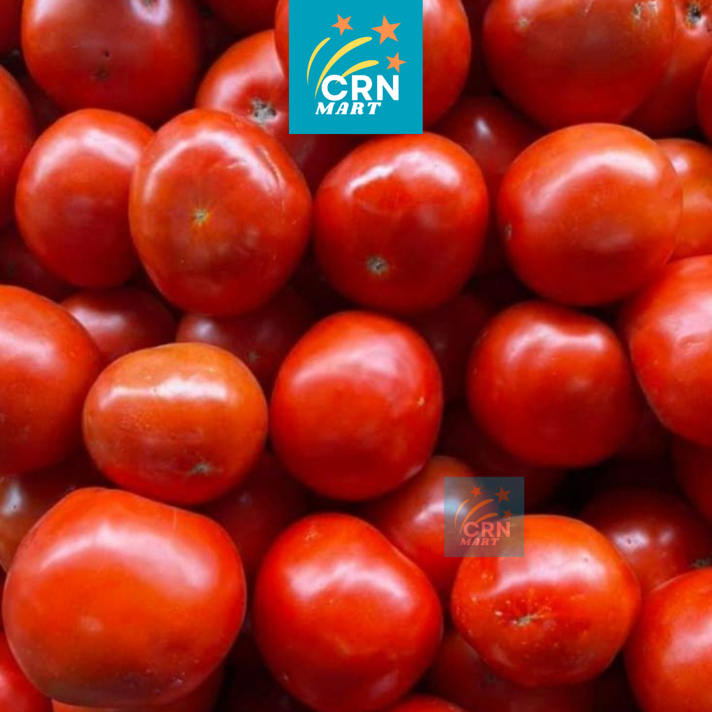 Jual CRN MART - Tomat Merah Berastagi Besar 500gram | Shopee Indonesia