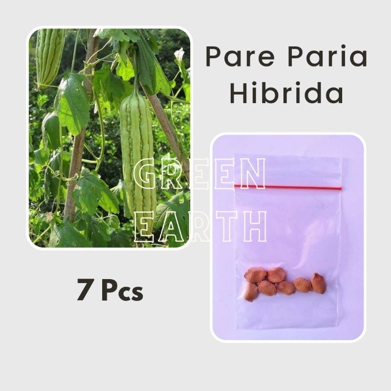 Jual Benih Pare Paria Hibrida Hainan Isi 7 pcs Produk Bintang Asia ...