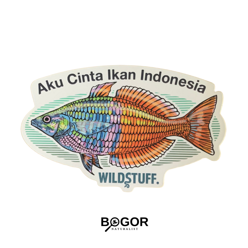 Jual Sticker Wildstuff Aku Cinta ikan Indonesia Rainbow Bosemani ...