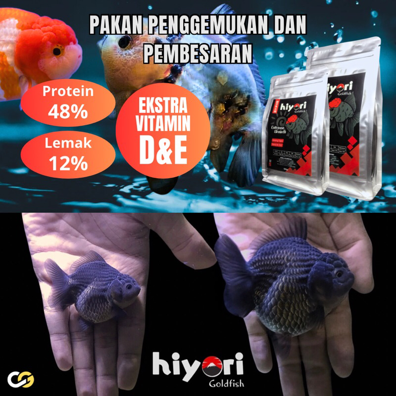 Jual Pakan Hiyori Goldfish Pelet Tenggelam Extreme Growth Ikan Mas Koki ...