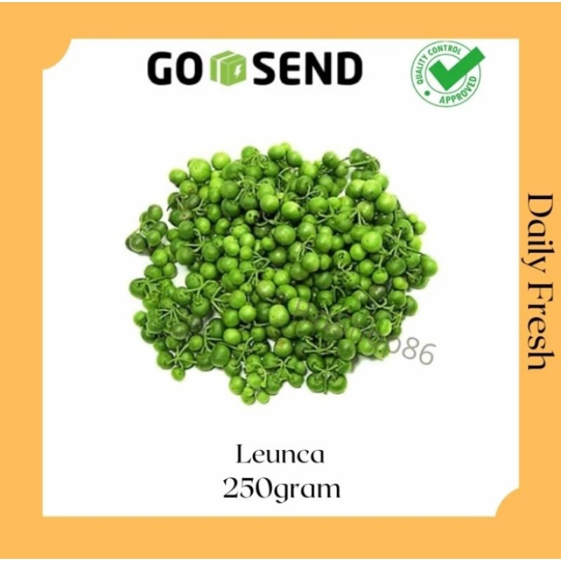 Jual Lalapan Leunca - lenca | Shopee Indonesia