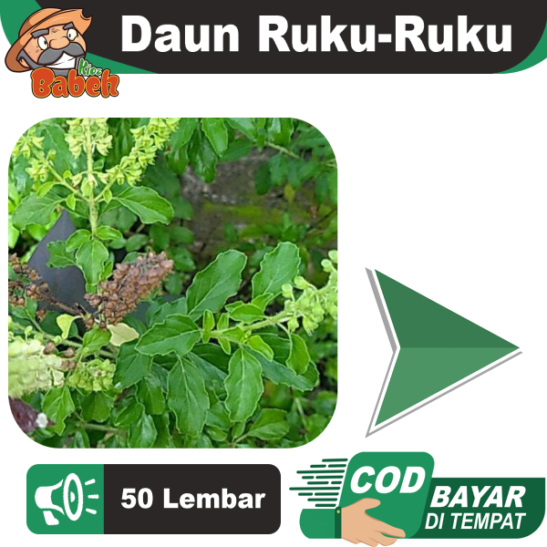 Jual Daun Ruku-Ruku 50 Lembar Segar | Shopee Indonesia