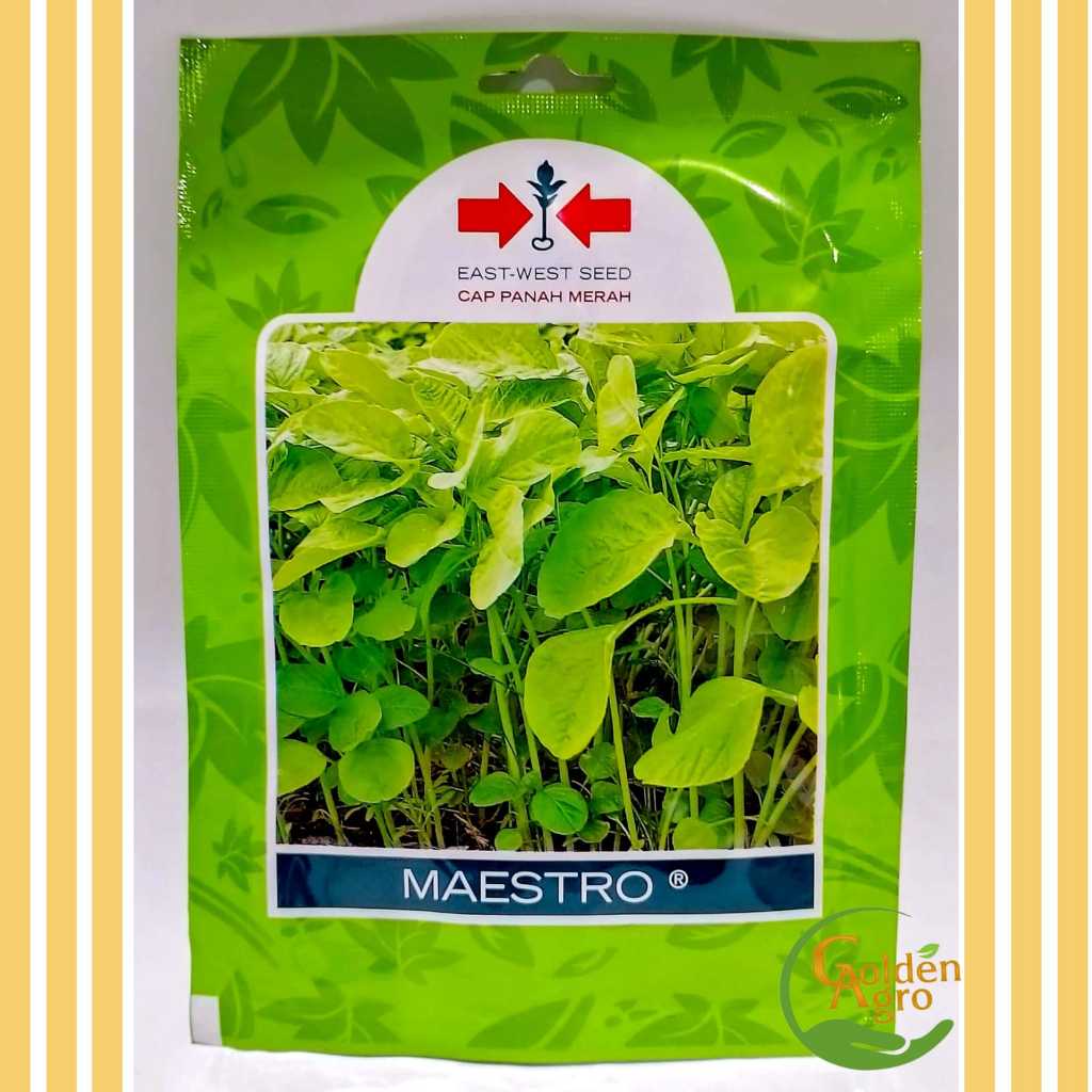 Jual BENIH BIBIT BAYAM MAESTRO 26000 BUTIR BIJI CAP PANAH MERAH ...