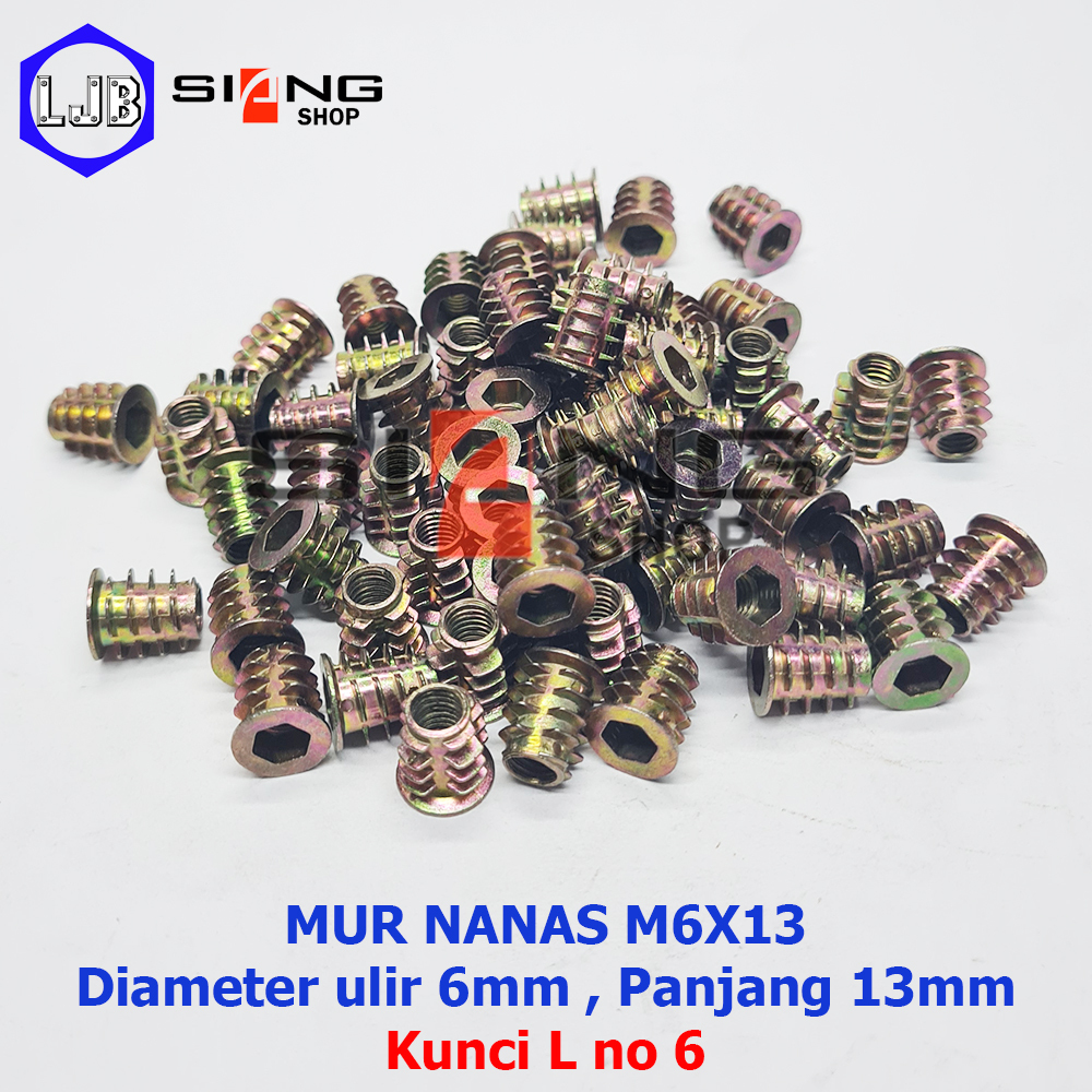 Jual Mur Nanas OD M6x13 dan M6x20 (Mur Furniture, Mur Tanam) | Shopee ...