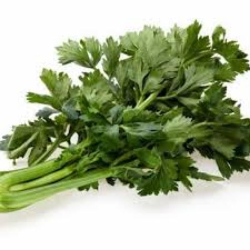 Jual Daun Sop dan bawang prei 100g | Shopee Indonesia