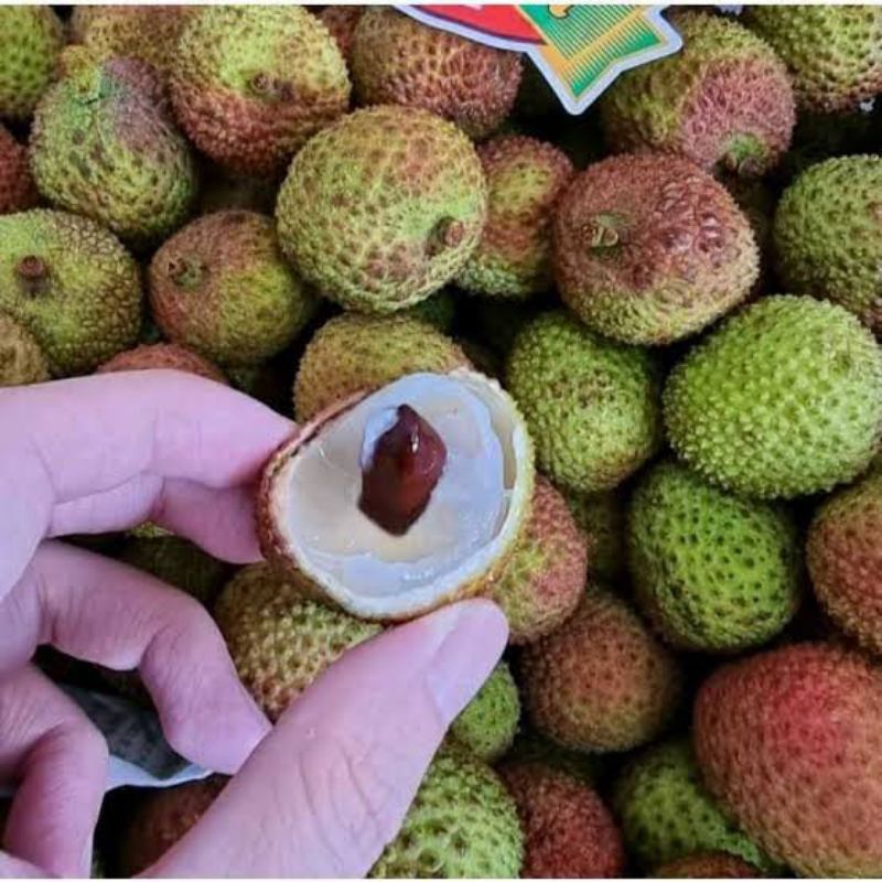 Jual BUAH LECI HIJAU MADU 1KG FRESH JAMIN MANIS ( LECI IMPORT) | Shopee Indonesia
