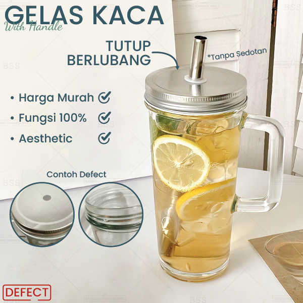 Jual Tumbler Mug Aesthetic 600ml Drink Jar Gelas Kaca dengan Pegangan ...
