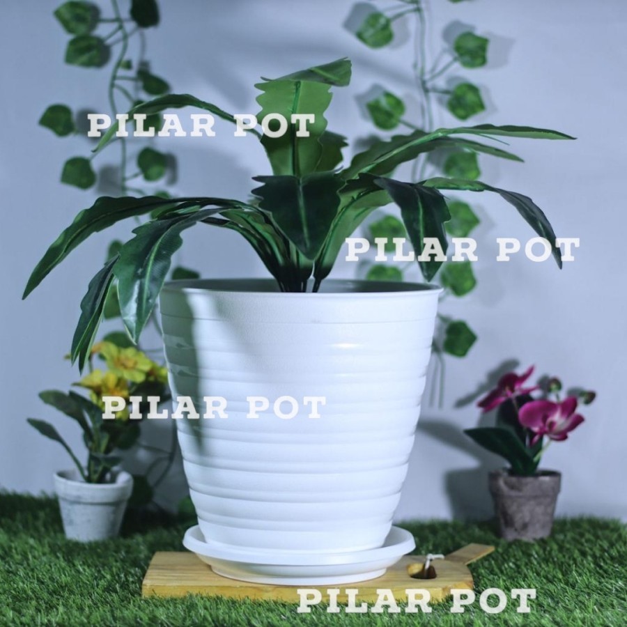 Jual POT BUNGA TANAMAN TINGGI TAWON PIRUS PUTIH 18 CM BUDI JAYA ...