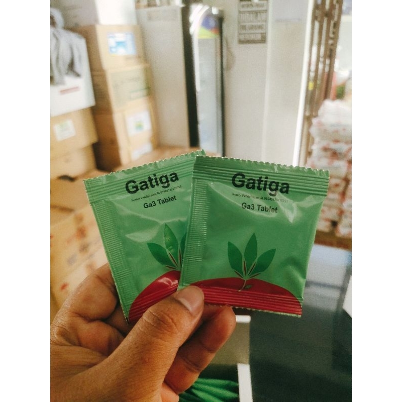 Jual GATIGA ZPT TABLET 5 TANGKI ORIGINAL 1PCS | Shopee Indonesia