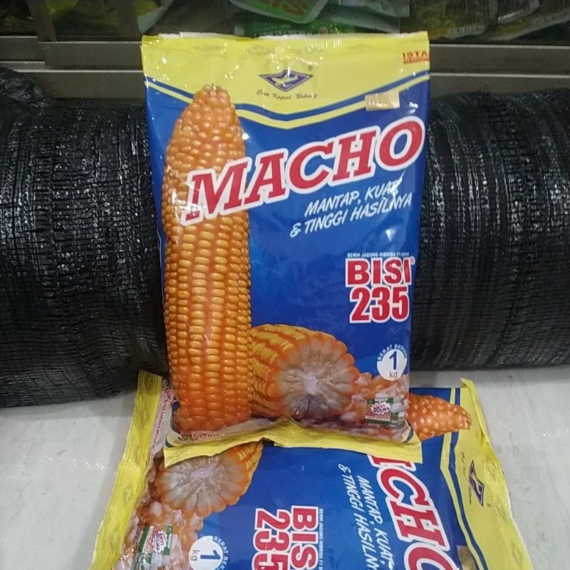 Jual benih Jagung BISI 235 MACHO kemasan 1kg | Shopee Indonesia