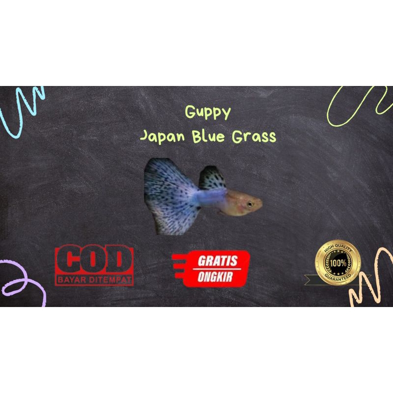 Jual Packing kardus / styrofoam guppy japan blue grass | Shopee Indonesia