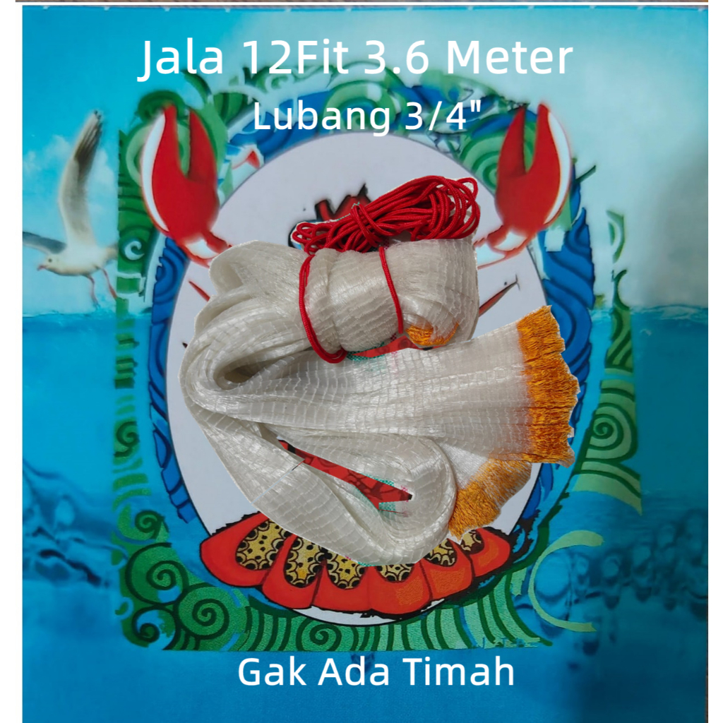 Jual jala lempar 3.6m siap pakai untuk udang dan ikan gak ada timah ...