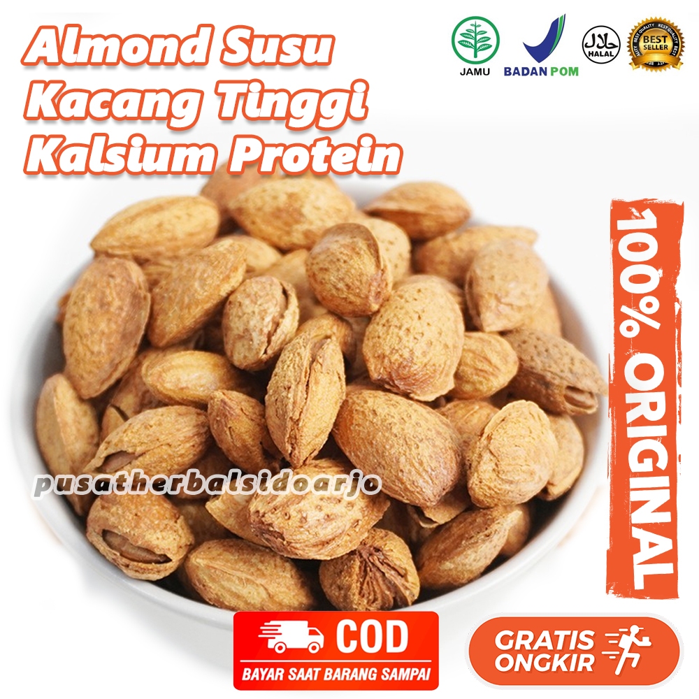 Jual Kacang Almond Panggang Susu Roasted Almond Mlik Premium Almond ...