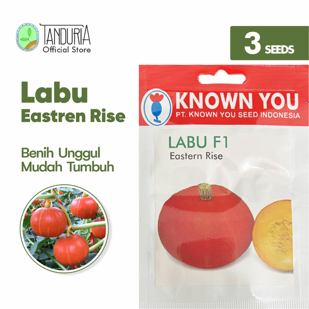 Jual TANDURIA - Benih Buah Labu Eastren Rise by Know You Seed Bibit ...