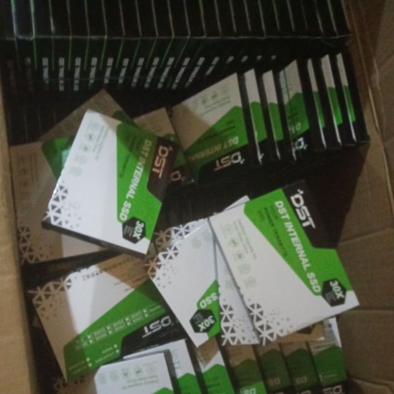 Jual SSD DST 256Gb Original Garansi Resmi | Shopee Indonesia
