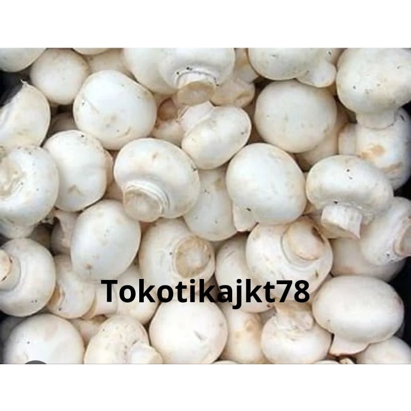Jual JAMUR CHAMPIGNON FRESH 1 KG | Shopee Indonesia