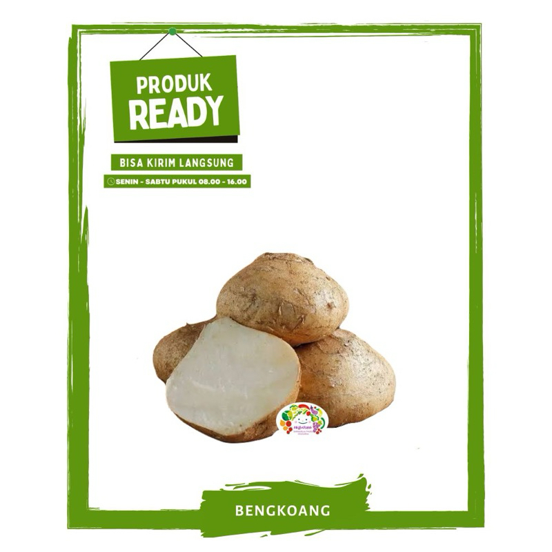 Jual Bengkoang / Bengkuang / Buah Buahan Segar Ready On Mallahrizwa ...