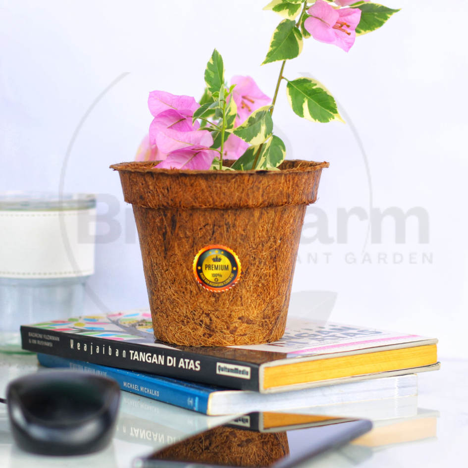 Jual POT BUNGA UNIK DARI SERABUT KELAPA ESTETIK DAN RAMAH LINGKUNGAN ...