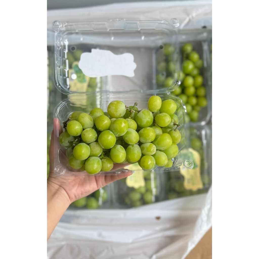 Jual Anggur Muscat (Pack) | Shopee Indonesia