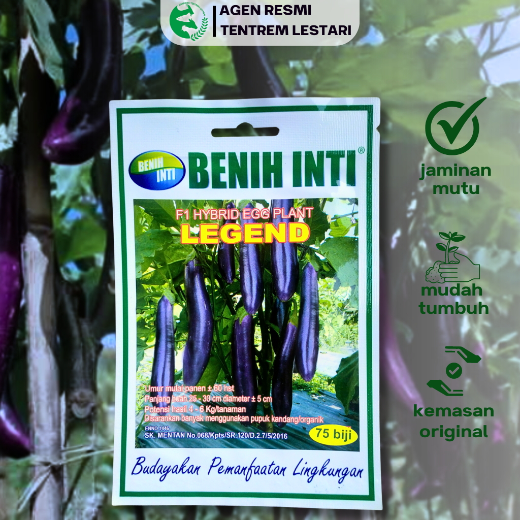 Jual Benih Unggul Terong Ungu LEGEND 75 Biji Cap BENIH INTI Tahan ...
