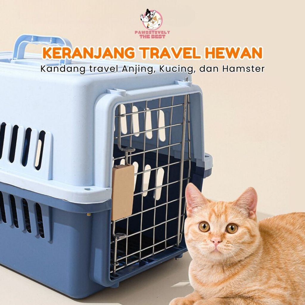 Jual Pet Cargo Kucing Anjing 3 Ukuran - Pet Carrier Kelinci Anbaul ...