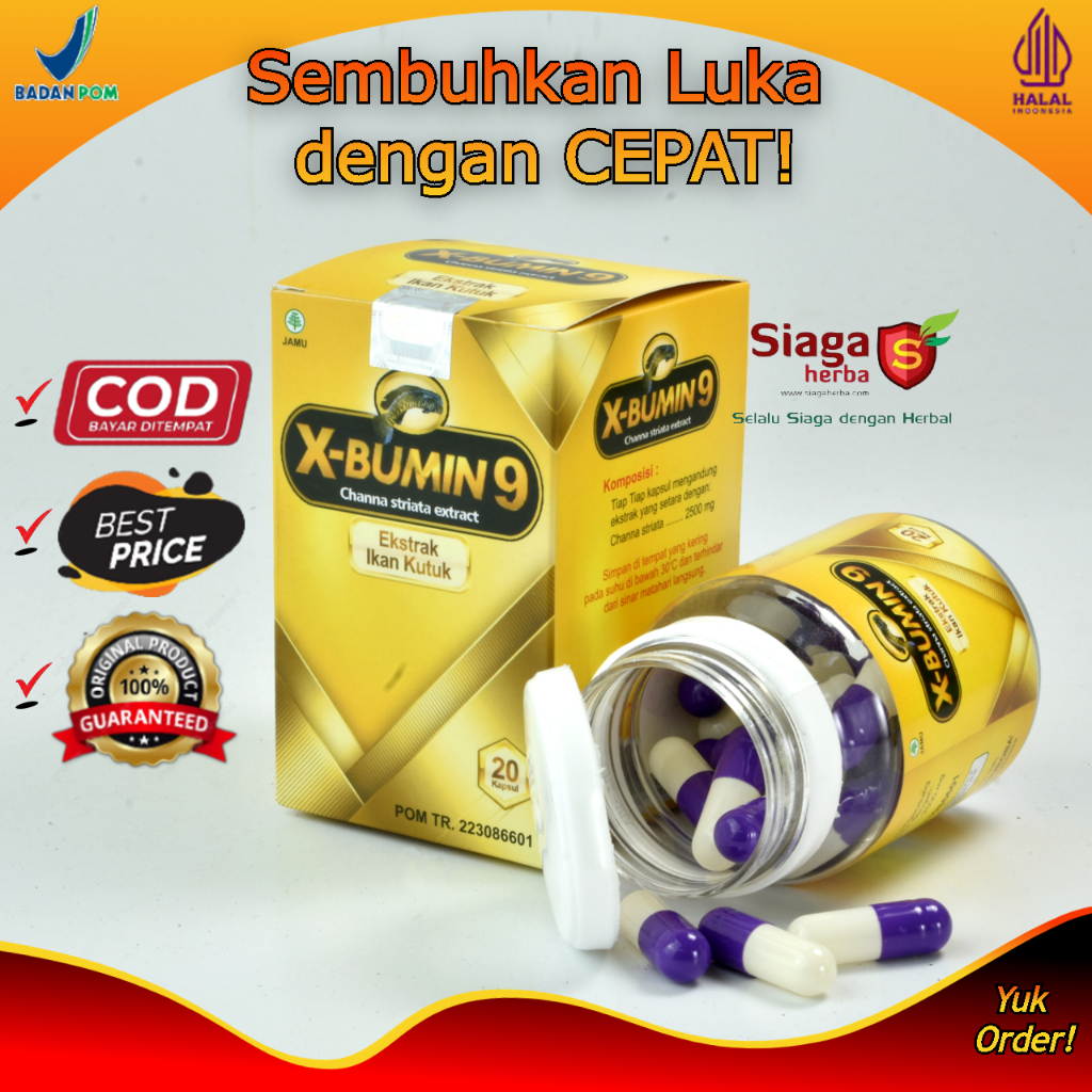 Jual Sari Kutuk Xbumin9 Ekstrak Kutuk Gabus Asli isi 20 Kapsul Al ...