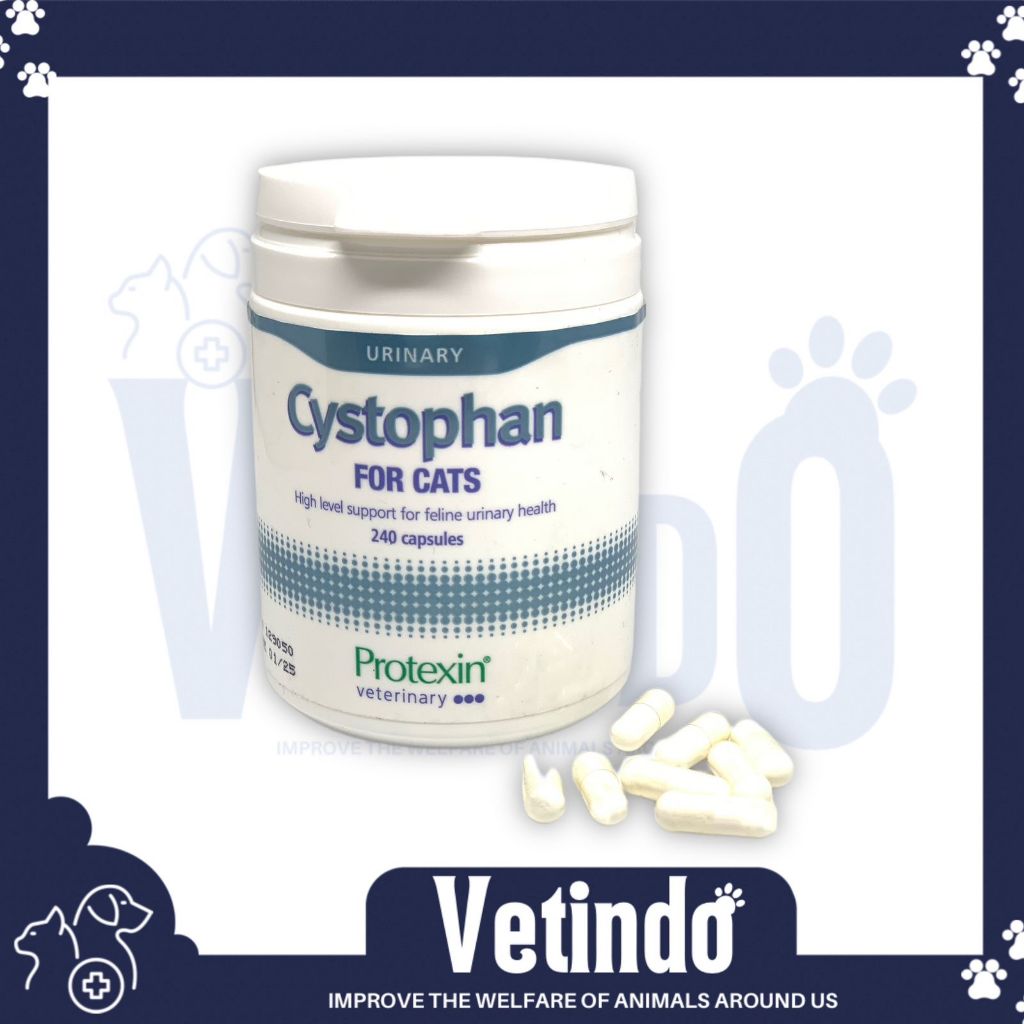 Jual cystophan Obat urinary saluran kencing Kucing mirip Cystaid ...