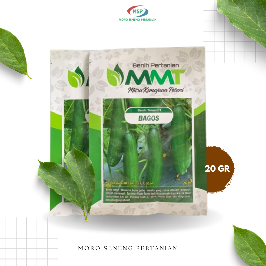 Jual Benih Timun F1 Bagos MMT SEED 20GR | Shopee Indonesia