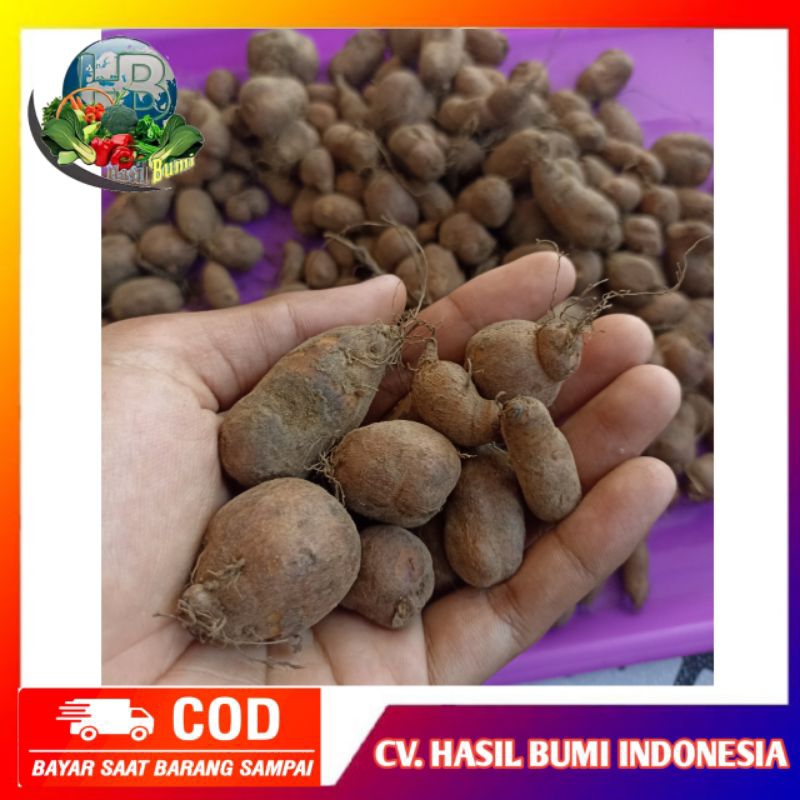 Jual kentang hitam super 1kg kentang ireng segar | Shopee Indonesia