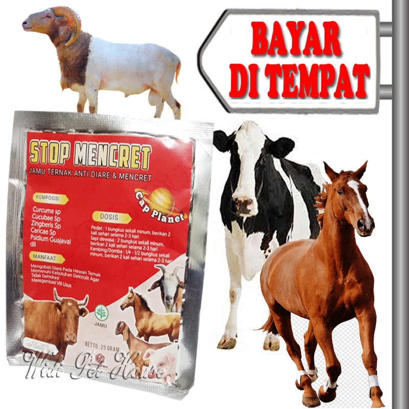 Jual Obat Diare Sapi Kambing Kuda Sakit Pencernaan Stop Mencret Hewan ...