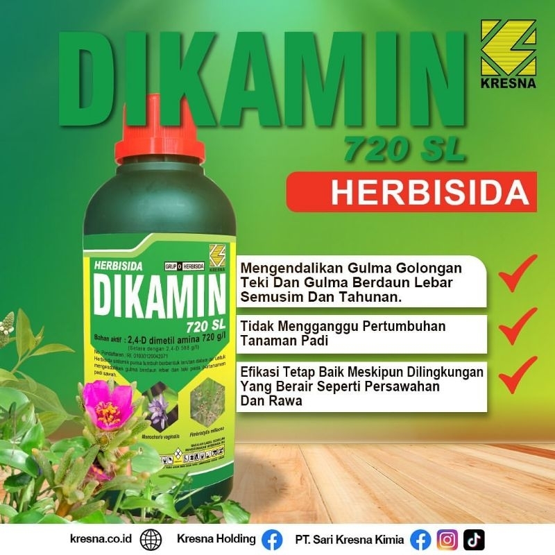 Jual DIKAMIN 720SL Herbisida untuk mengendalikan gulma pada tanaman ...