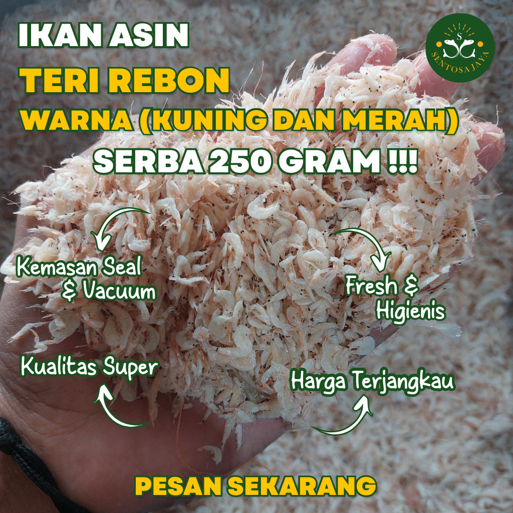 Jual Udang Rebon 250 gram Ikan Asin Teri Udang Rebon (Warna Kuning dan ...