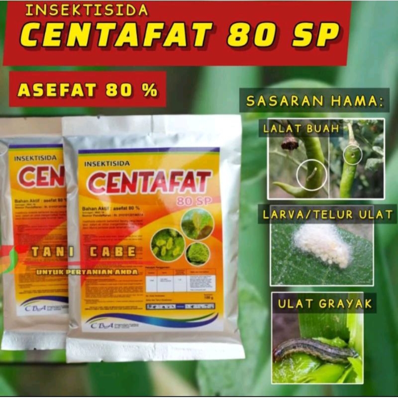 Jual Insektisida Centafat 100gr Asefat 80% Pembasmi Hama Kutu daun dan ...
