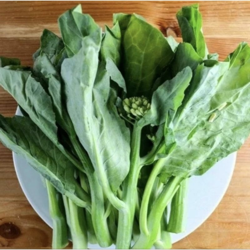 Jual SAYUR KAILAN SEGAR 500 GRAM | Shopee Indonesia