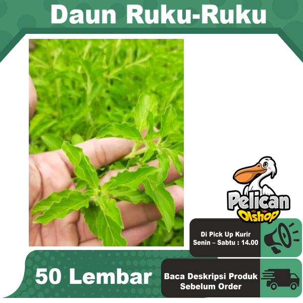 Jual Daun Ruku Ruku-ruku 50 Lembar Rempah Herbal Bumbu Masak Segar ...