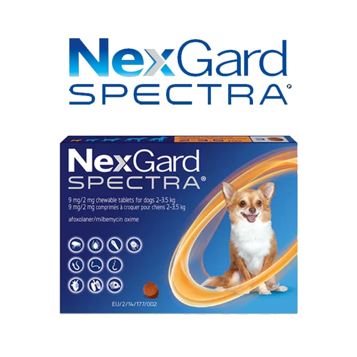 Jual Obat Kutu Anjing NexGard Dog X-Small 2 - 3,5KG Obat Demodex Anjing ...