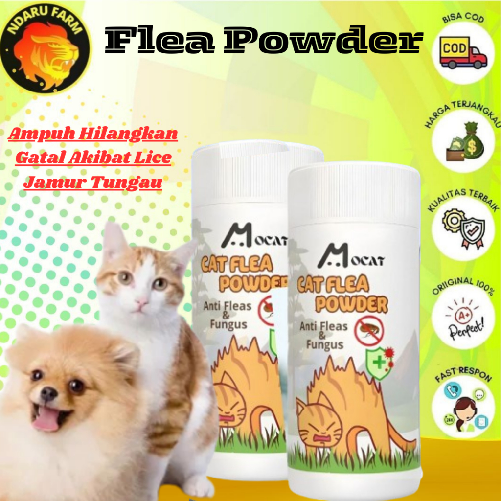 Jual Cat Flea Powder Bedak Kucing Mocat Powder Anti Kutu Kitten Kelinci ...
