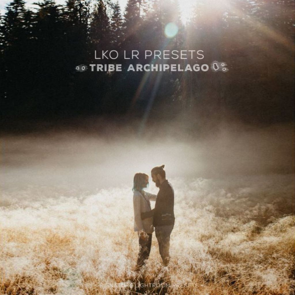 Jual Tribe Archipelago LKO - Preset Lightroom Premium Android IOS PC | Shopee Indonesia