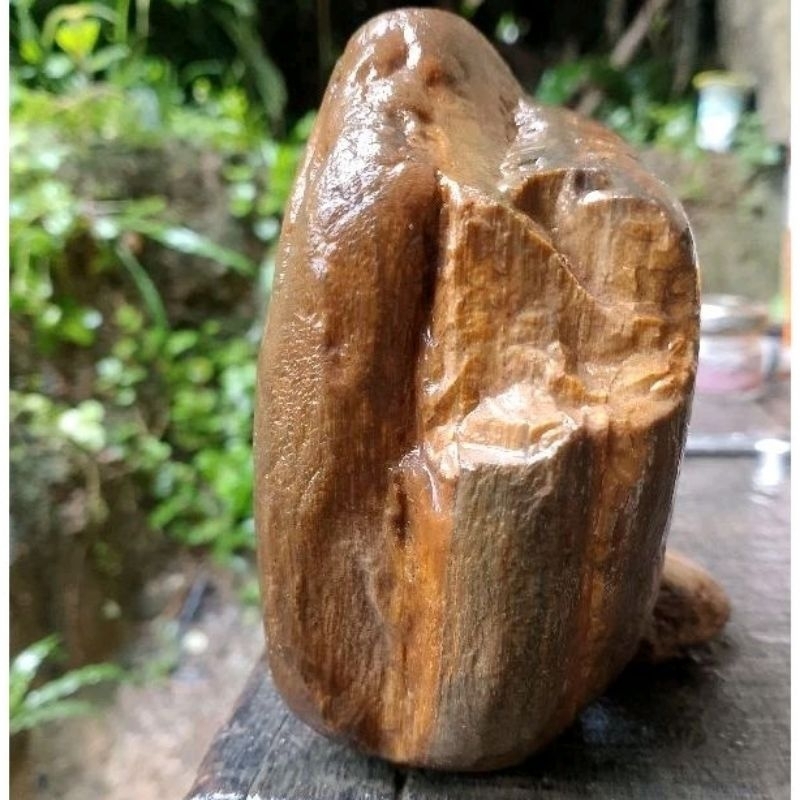 Jual Bongkahan batu kayu (PETRIFIED WOOD) unik antik stok sesuai gambar ...