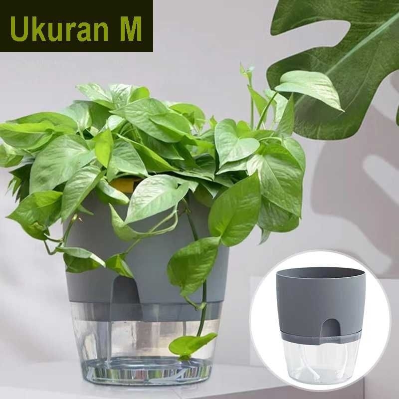 Jual Pot Bunga Aesthetic Ruang Tamu Besar Tinggi Minimalis Tanaman ...