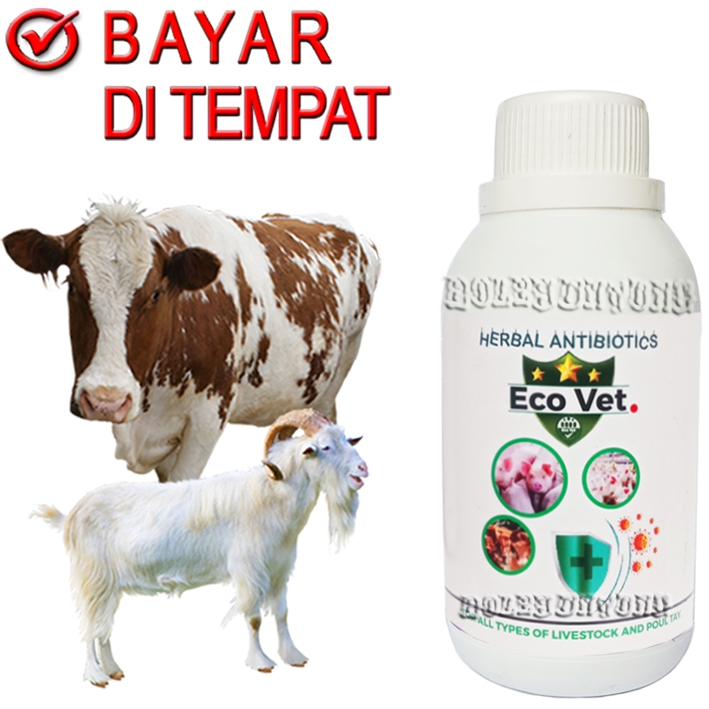 Jual ECOVET Antibiotik Sapi Kambing Hewan Ternak Penambah Nafsu Makan ...