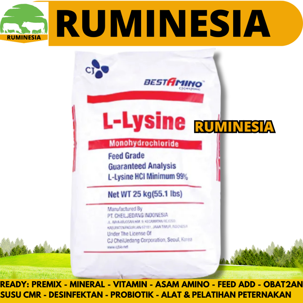 Jual L LYSINE 1 KG - LISIN - LYSIN - LISINE - LEUSIN - SUPLEMEN VITAMIN ...