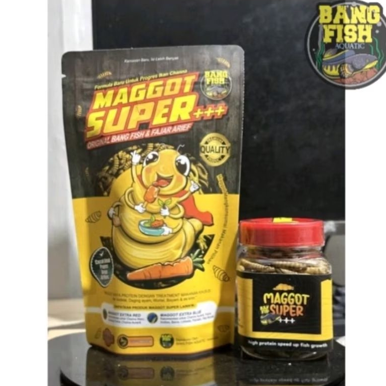 Jual MAGGOT SUPER +++ BANGFISH X FAJAR ARIEF (EXTRA BETACAROTENE ...